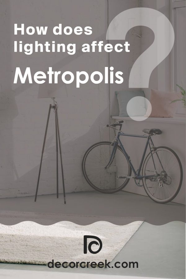 Metropolis SW 9575 Paint Color by Sherwin Williams - DecorCreek