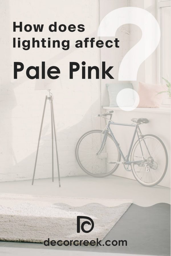Pale Pink SW 9696 Paint Color by Sherwin Williams - DecorCreek