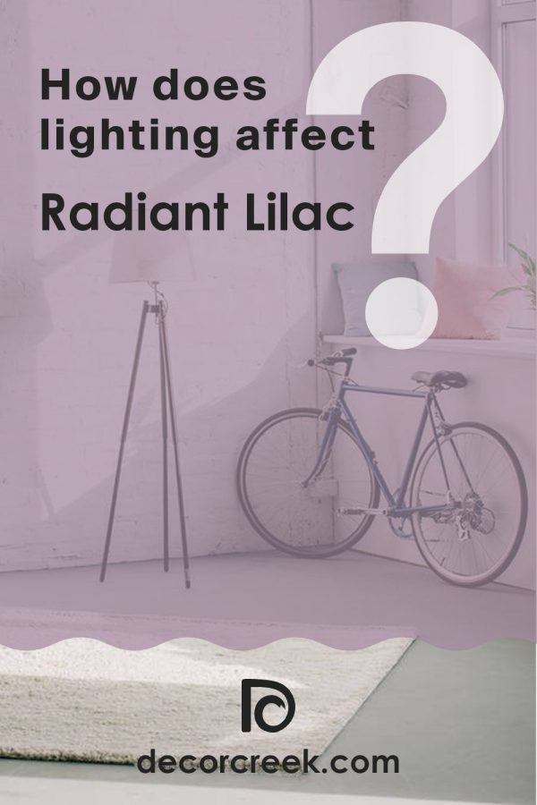 Radiant Lilac SW 0074 Paint Color by Sherwin Williams - DecorCreek