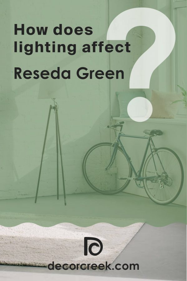 Reseda Green SW 9040 Paint Color by Sherwin Williams - DecorCreek