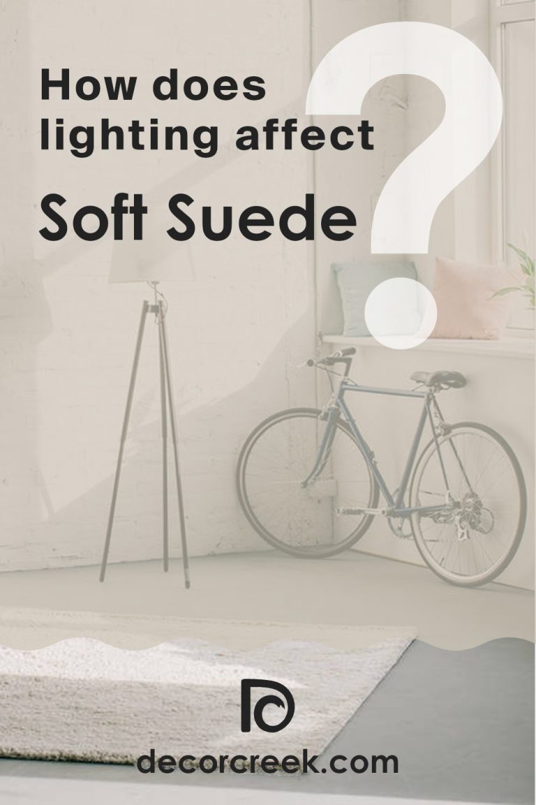 Soft Suede SW 9577 Paint Color by Sherwin Williams - DecorCreek