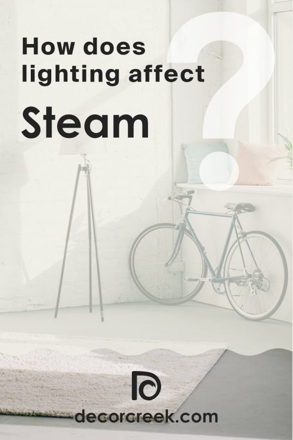 Steam AF-15 Paint Color by Benjamin Moore - DecorCreek