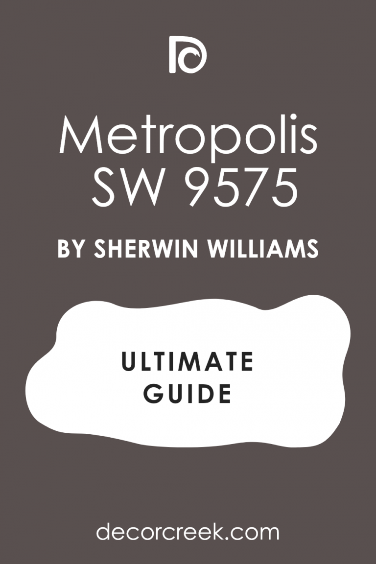 Metropolis SW 9575 Paint Color by Sherwin Williams - DecorCreek