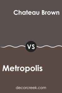 Metropolis SW 9575 Paint Color by Sherwin Williams - DecorCreek