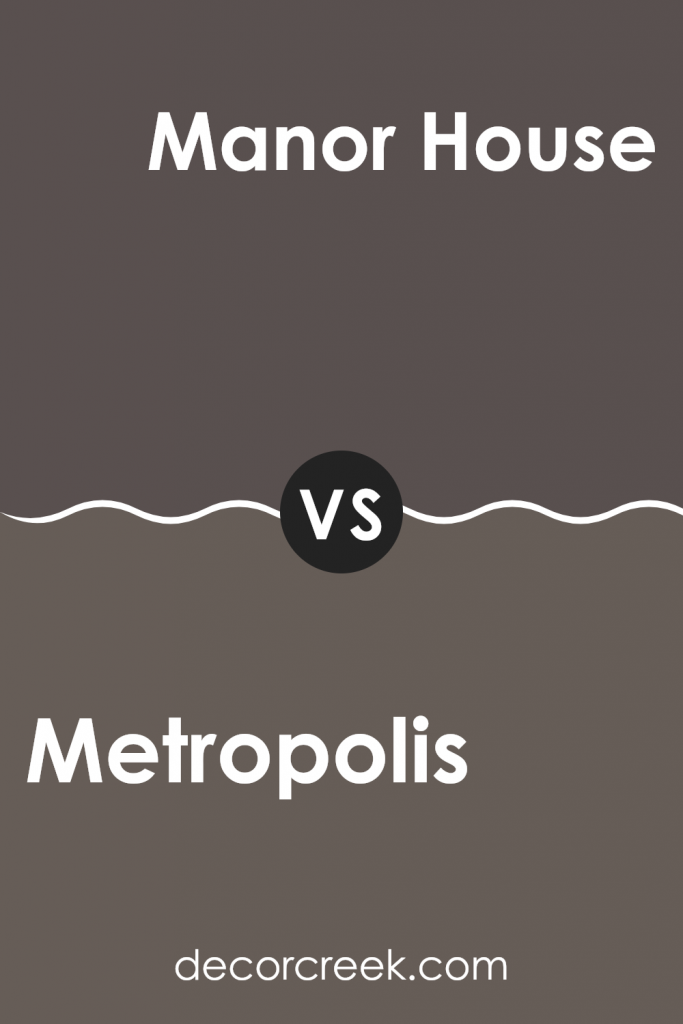 Metropolis SW 9575 Paint Color by Sherwin Williams - DecorCreek