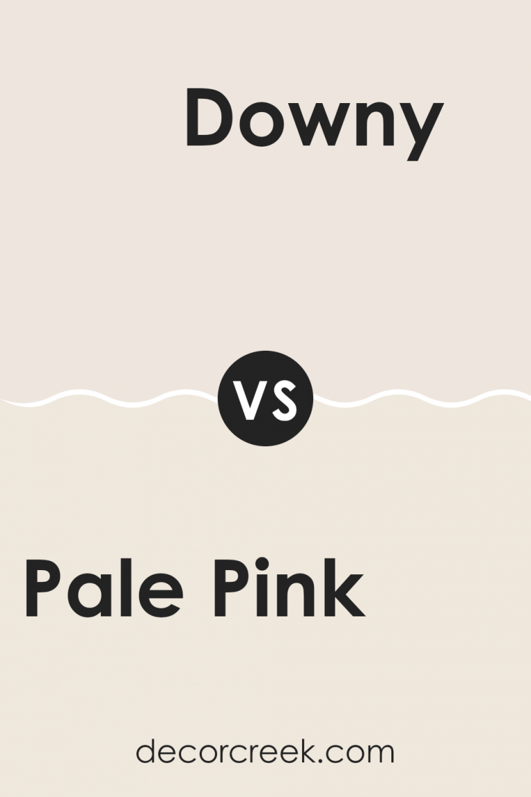 Pale Pink SW 9696 Paint Color by Sherwin Williams - DecorCreek
