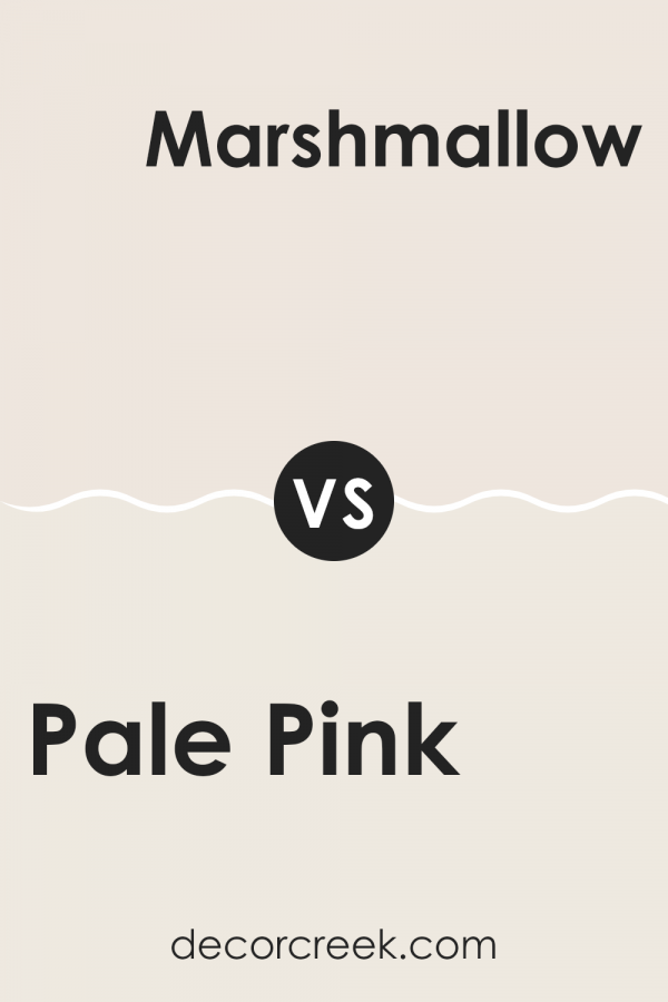 Pale Pink SW 9696 Paint Color by Sherwin Williams - DecorCreek