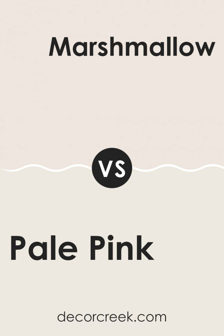 Pale Pink SW 9696 Paint Color by Sherwin Williams - DecorCreek