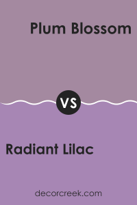 Radiant Lilac SW 0074 Paint Color by Sherwin Williams - DecorCreek