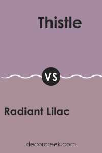 Radiant Lilac SW 0074 Paint Color by Sherwin Williams - DecorCreek