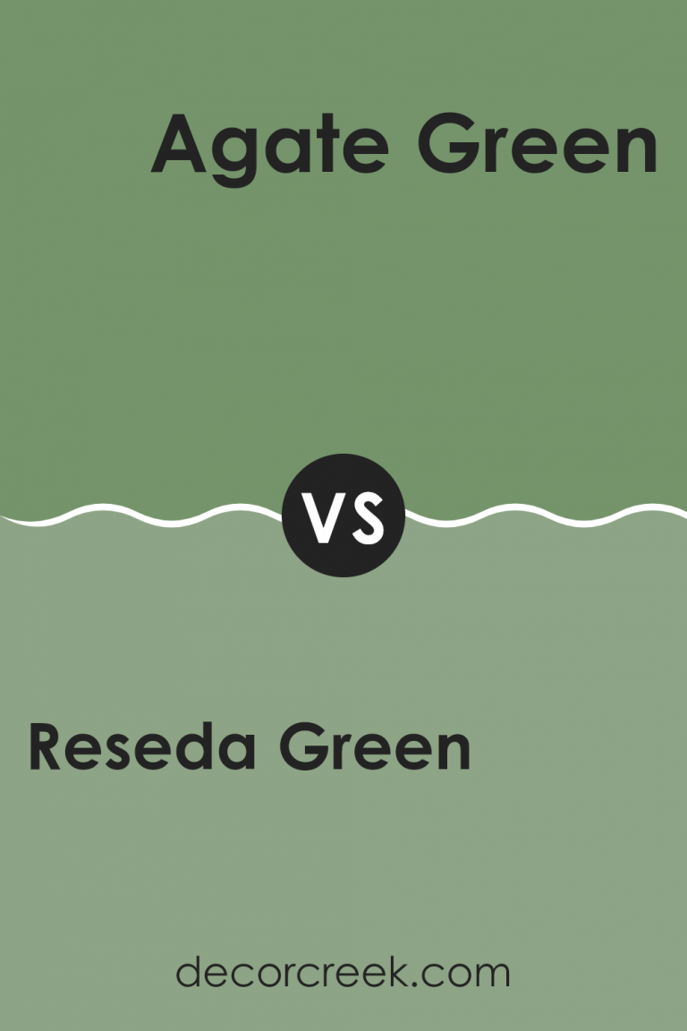 Reseda Green SW 9040 Paint Color by Sherwin Williams - DecorCreek