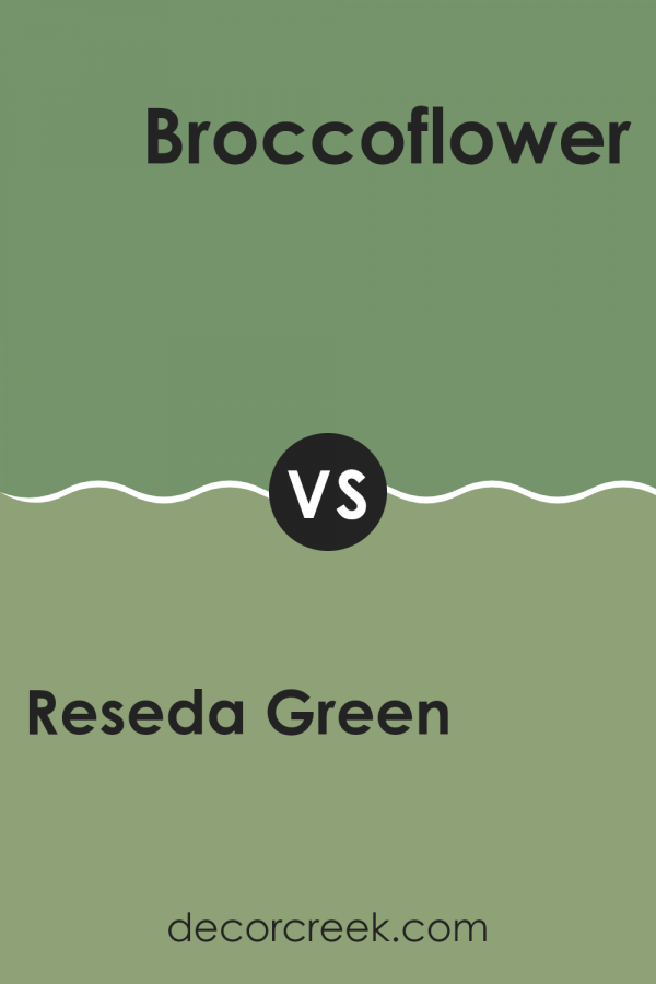 Reseda Green SW 9040 Paint Color by Sherwin Williams - DecorCreek