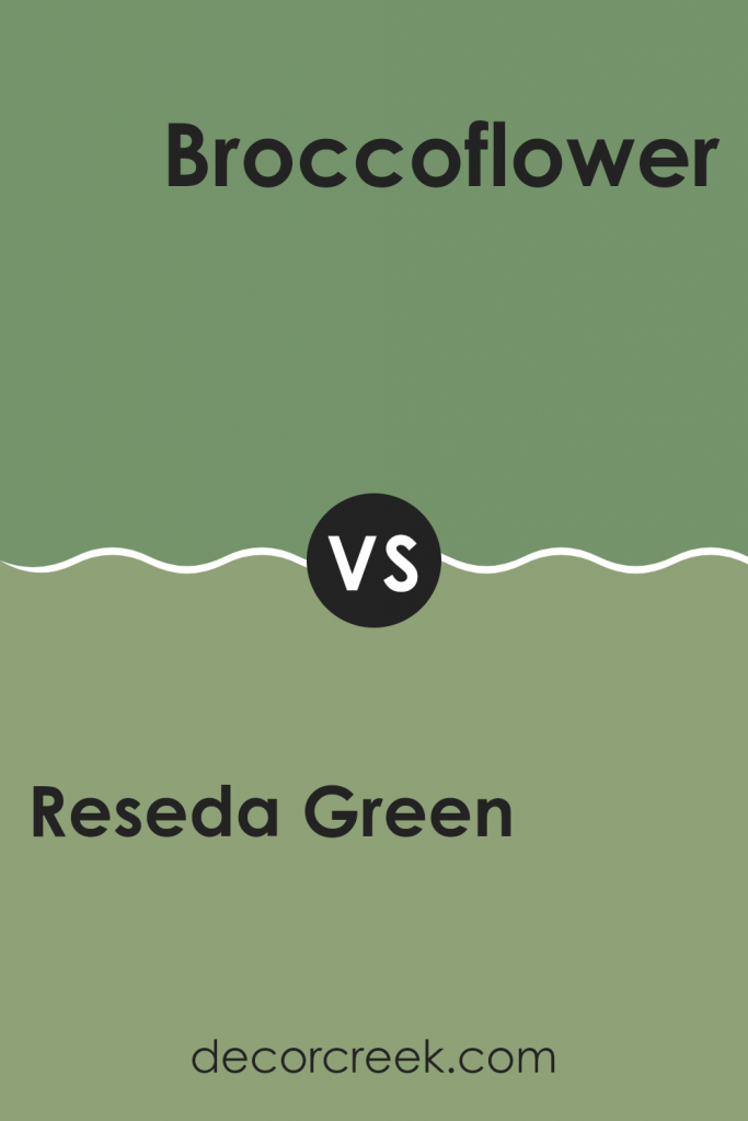 Reseda Green SW 9040 Paint Color by Sherwin Williams - DecorCreek