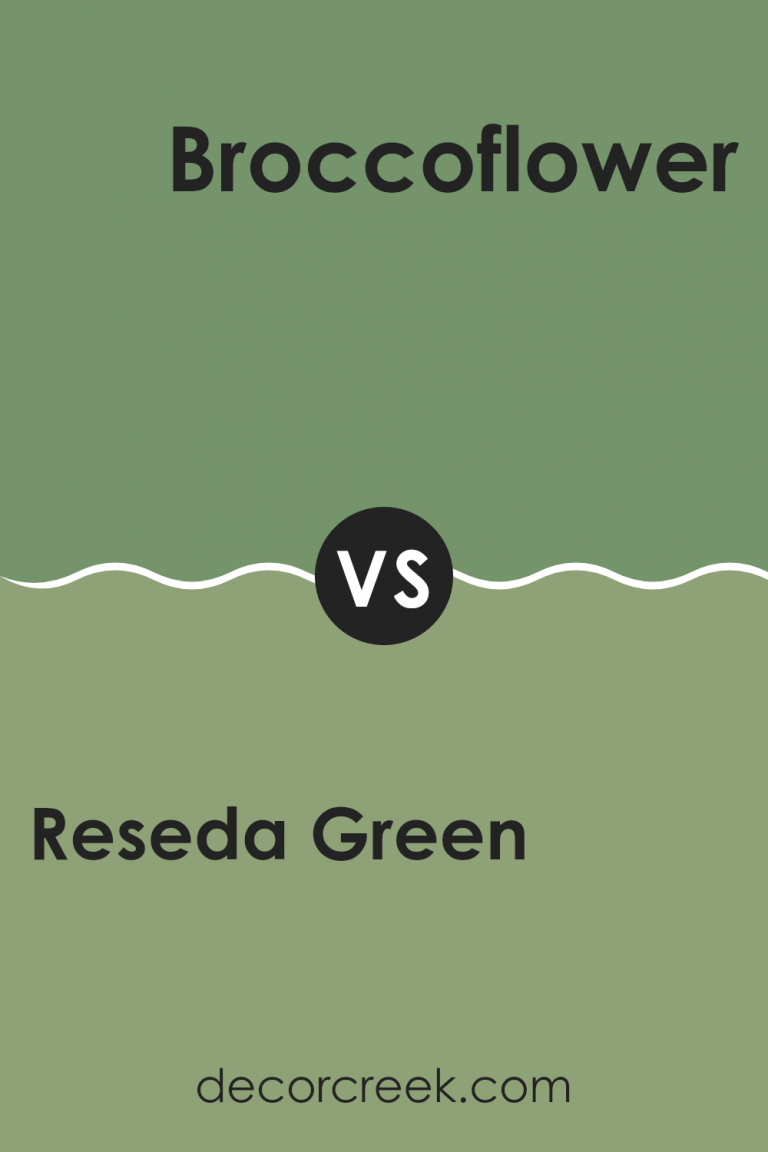 Reseda Green SW 9040 Paint Color by Sherwin Williams - DecorCreek