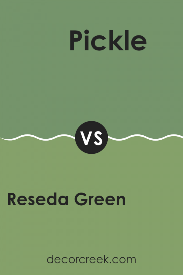 Reseda Green SW 9040 Paint Color by Sherwin Williams - DecorCreek