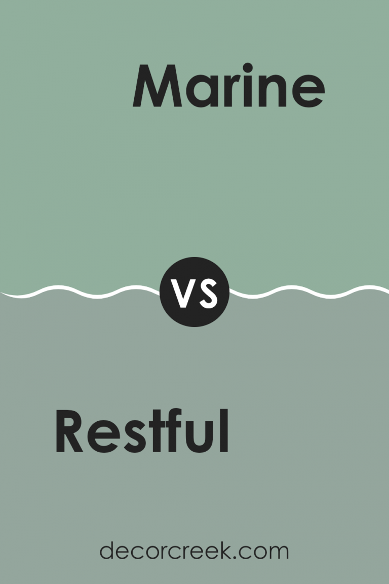 Restful SW 6458 Paint Color by Sherwin Williams - DecorCreek