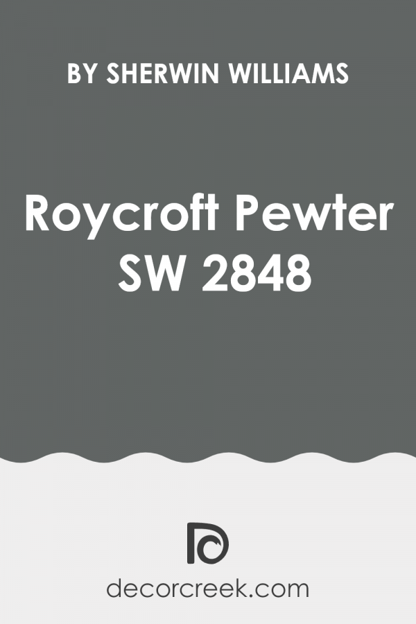 Roycroft Pewter SW 2848 Paint Color by Sherwin Williams - DecorCreek