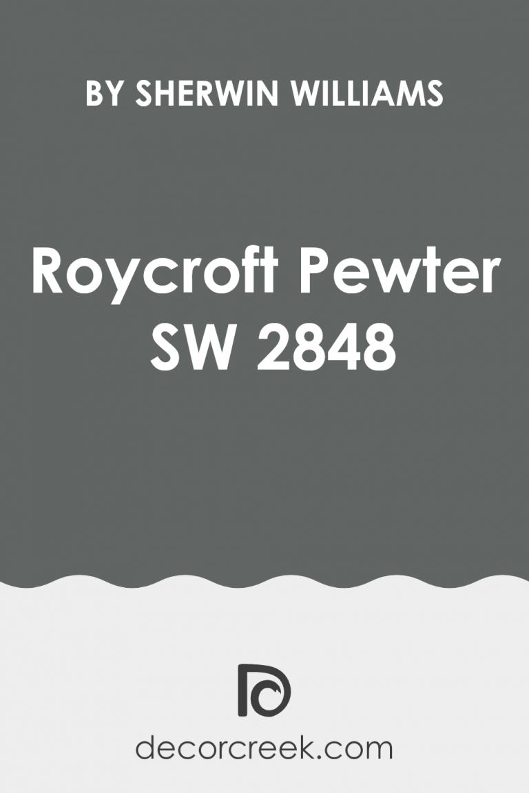 Roycroft Pewter SW 2848 Paint Color by Sherwin Williams - DecorCreek