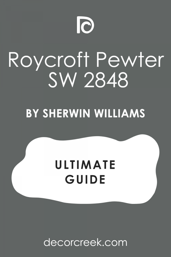 Roycroft Pewter SW 2848 Paint Color by Sherwin Williams - DecorCreek