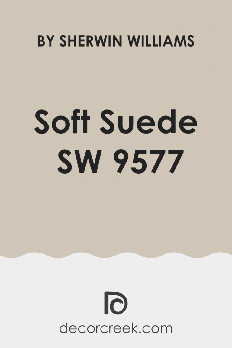 Soft Suede SW 9577 Paint Color by Sherwin Williams - DecorCreek