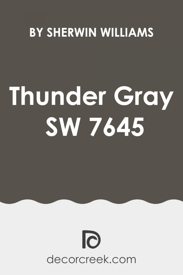 Thunder Gray SW 7645 Paint Color by Sherwin Williams - DecorCreek