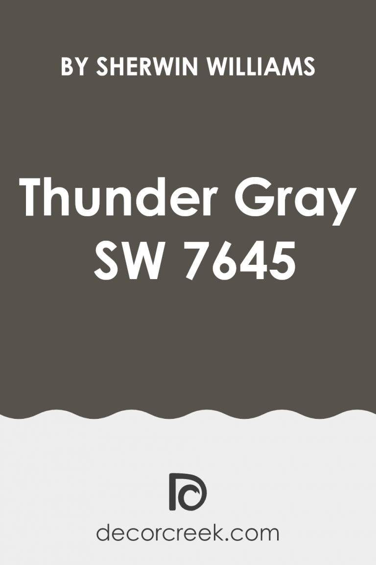 Thunder Gray SW 7645 Paint Color by Sherwin Williams - DecorCreek