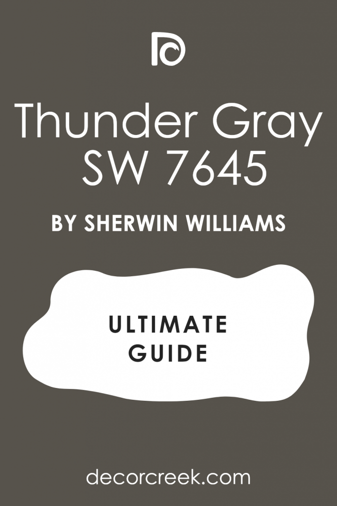 Thunder Gray SW 7645 Paint Color by Sherwin Williams - DecorCreek