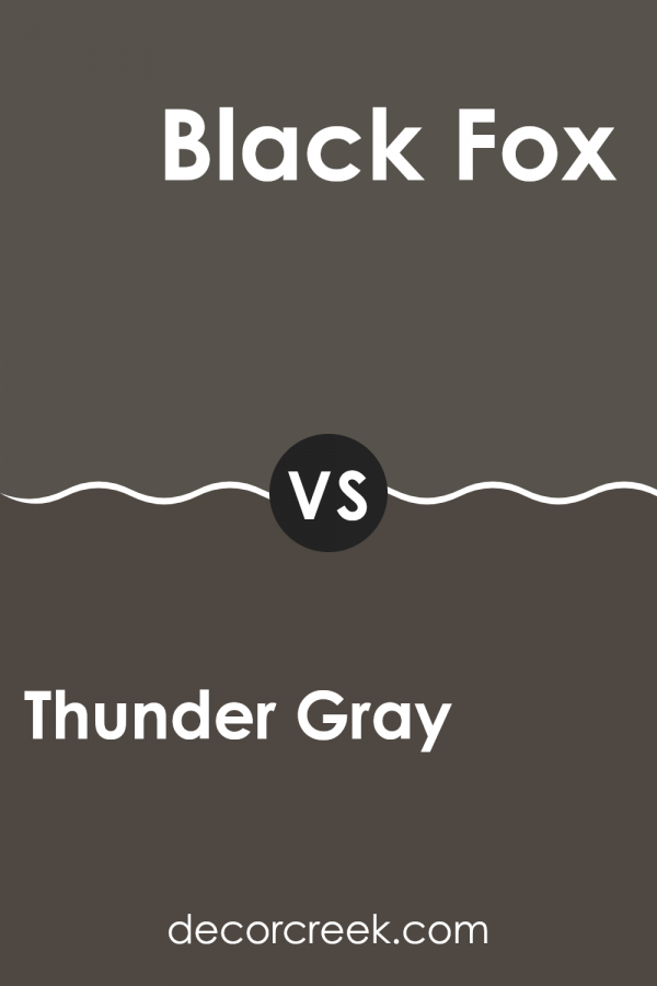 Thunder Gray SW 7645 Paint Color by Sherwin Williams - DecorCreek