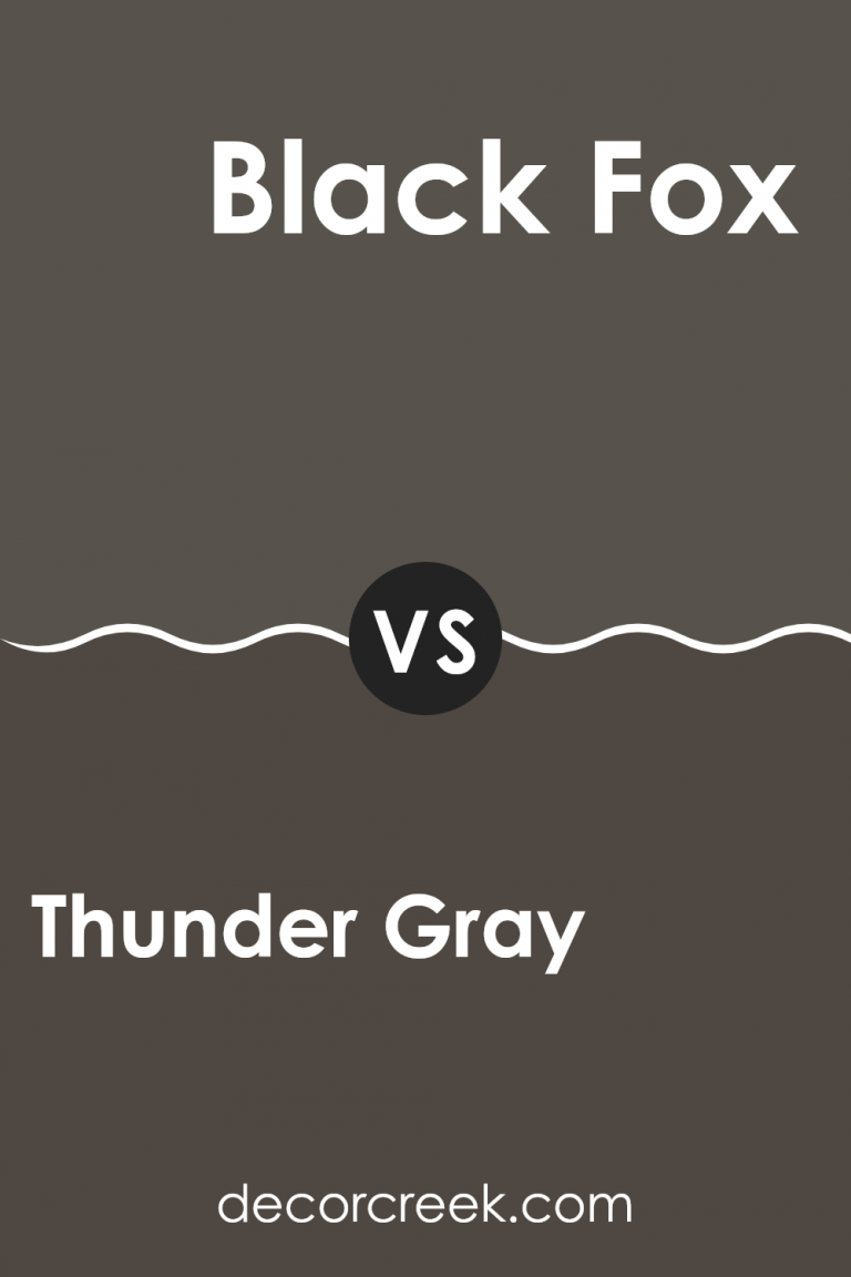 Thunder Gray SW 7645 Paint Color by Sherwin Williams - DecorCreek
