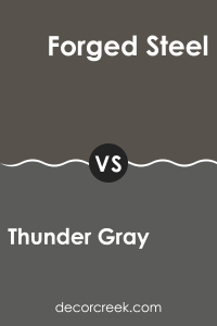 Thunder Gray SW 7645 Paint Color by Sherwin Williams - DecorCreek