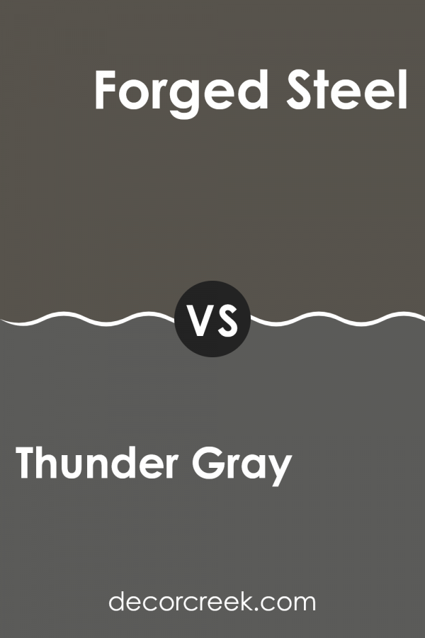 Thunder Gray SW 7645 Paint Color by Sherwin Williams - DecorCreek
