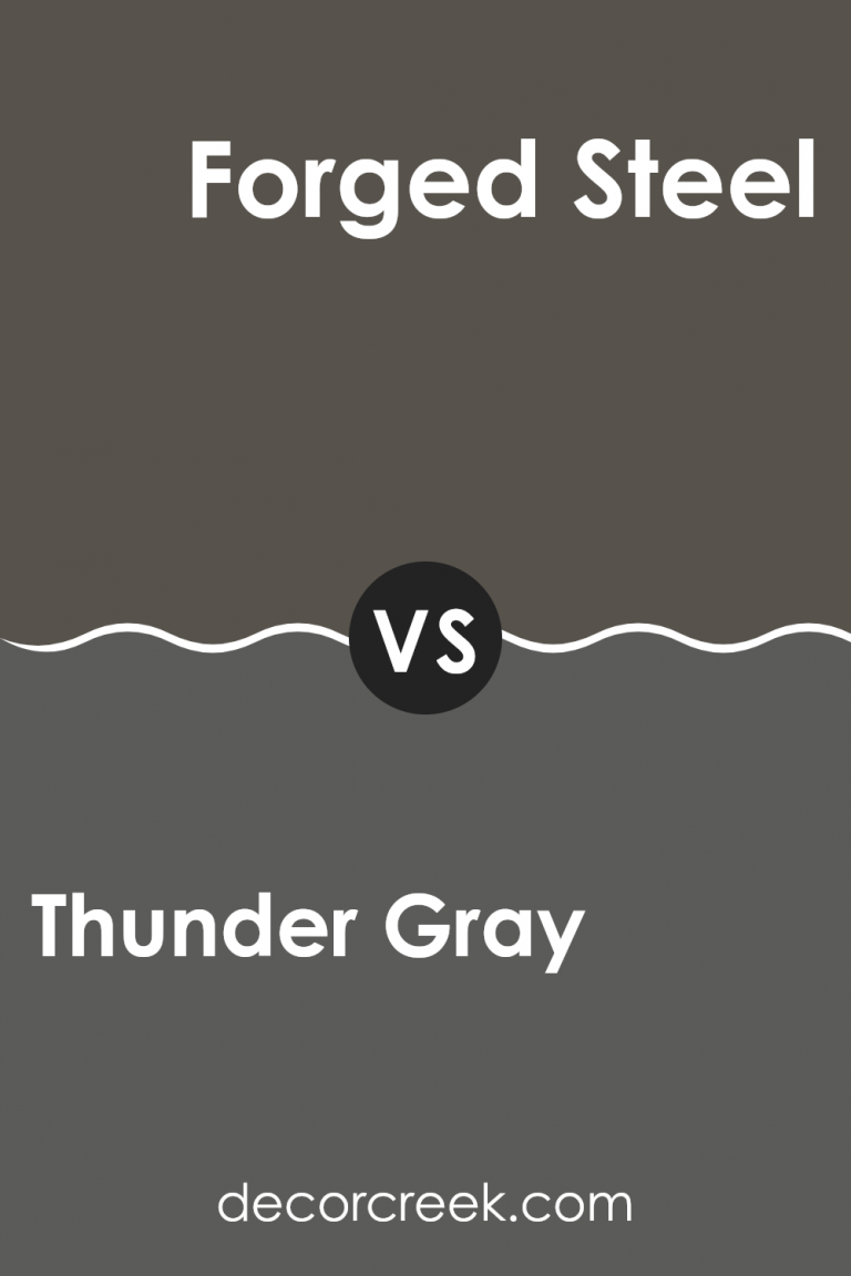 Thunder Gray SW 7645 Paint Color by Sherwin Williams - DecorCreek