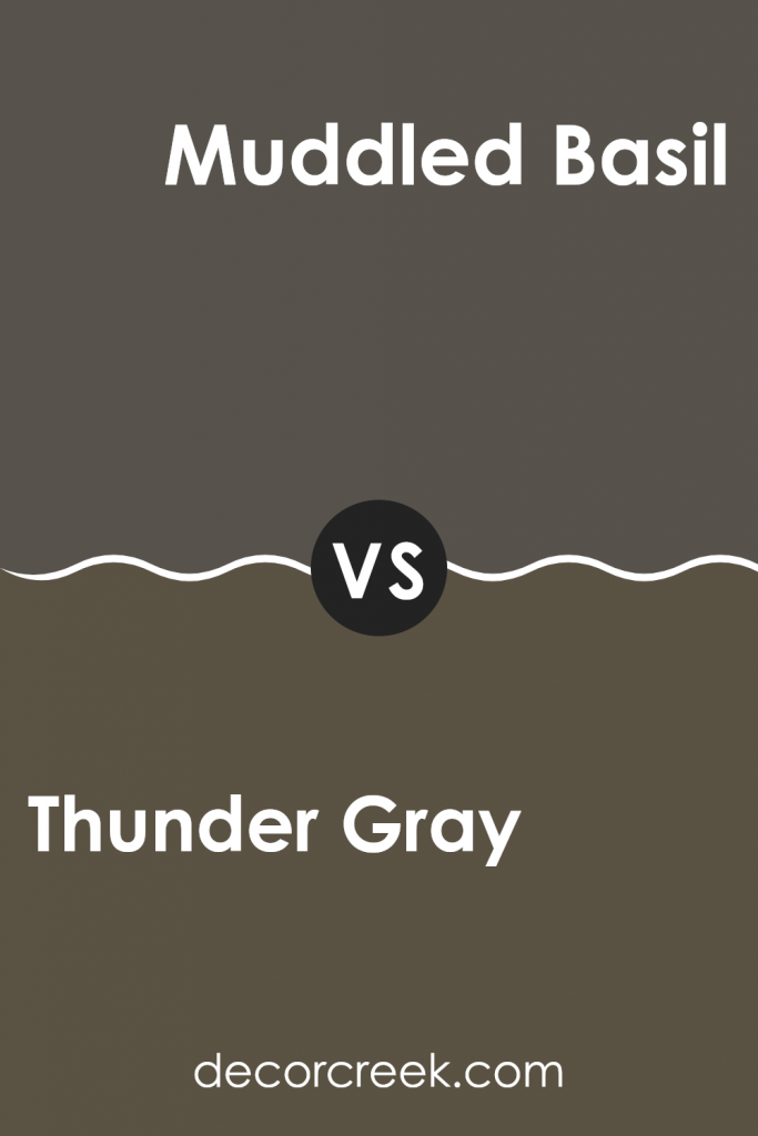 Thunder Gray SW 7645 Paint Color by Sherwin Williams - DecorCreek