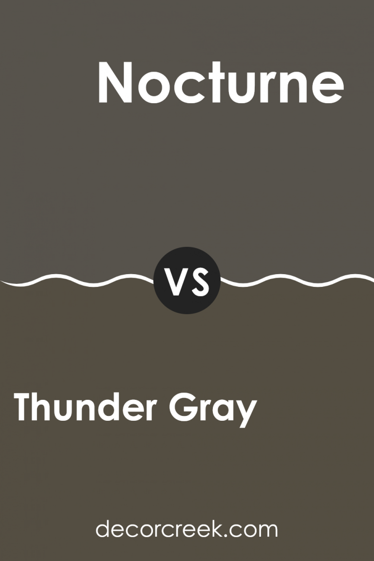 Thunder Gray SW 7645 Paint Color by Sherwin Williams - DecorCreek