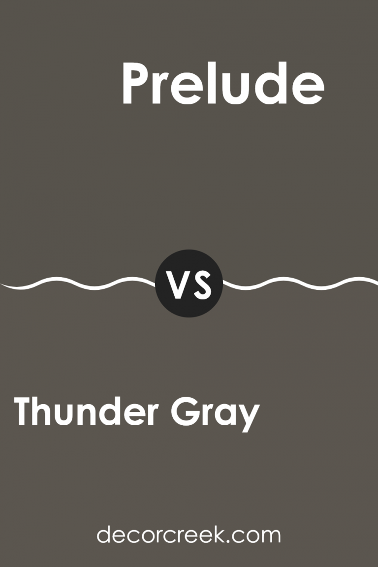 Thunder Gray SW 7645 Paint Color by Sherwin Williams - DecorCreek