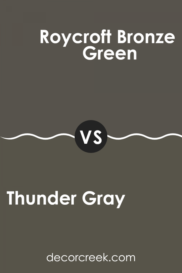 Thunder Gray SW 7645 Paint Color by Sherwin Williams - DecorCreek