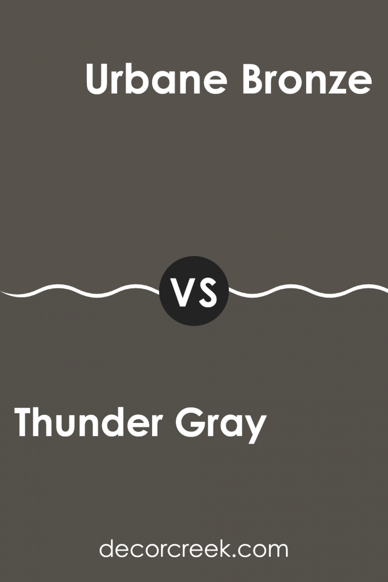 Thunder Gray SW 7645 Paint Color by Sherwin Williams - DecorCreek