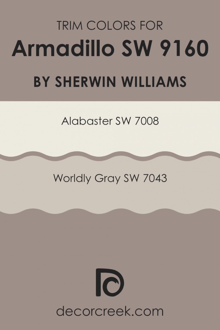 Armadillo SW 9160 Paint Color by Sherwin Williams - DecorCreek