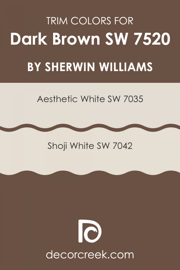 Dark Brown SW 7520 Paint Color by Sherwin Williams - DecorCreek
