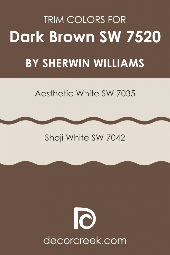 Dark Brown SW 7520 Paint Color by Sherwin Williams - DecorCreek