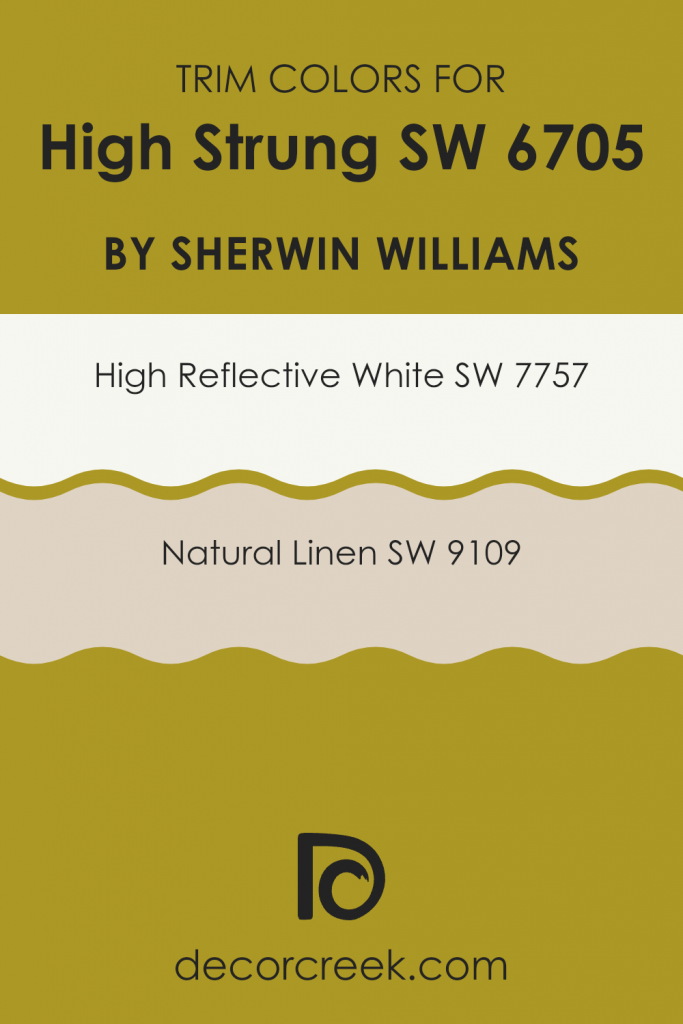 High Strung SW 6705 Paint Color by Sherwin Williams - DecorCreek