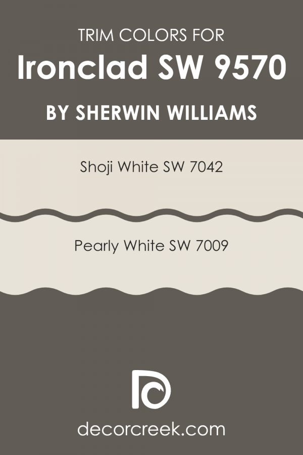 Ironclad SW 9570 Paint Color by Sherwin Williams - DecorCreek