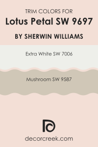 Lotus Petal SW 9697 Paint Color by Sherwin Williams - DecorCreek