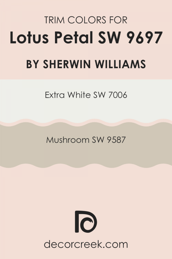 Lotus Petal SW 9697 Paint Color by Sherwin Williams - DecorCreek