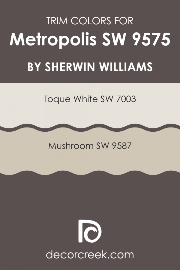 Metropolis SW 9575 Paint Color by Sherwin Williams - DecorCreek