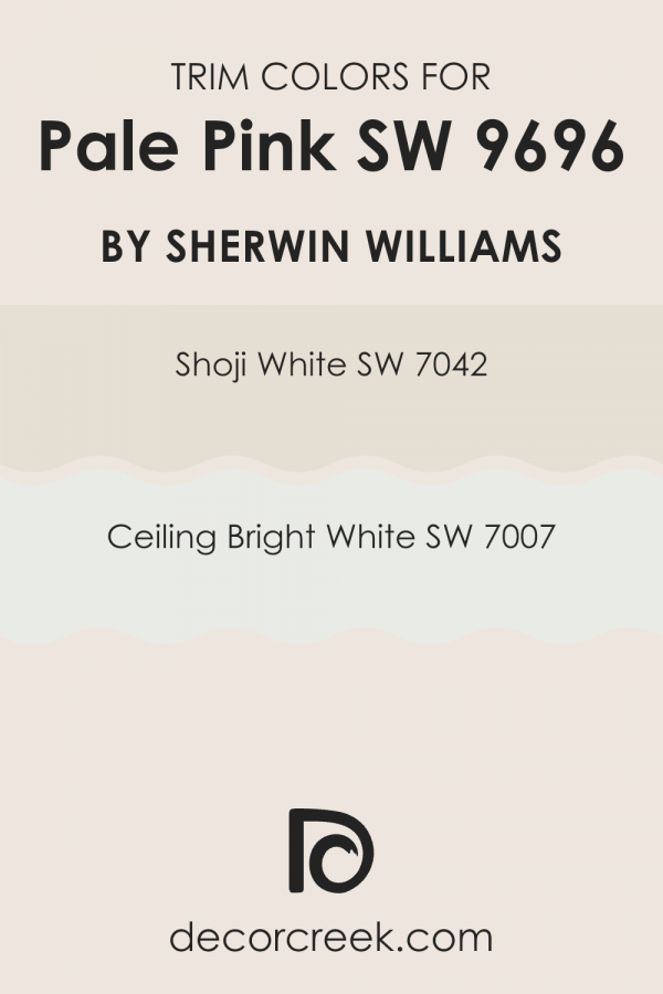 Pale Pink SW 9696 Paint Color by Sherwin Williams - DecorCreek