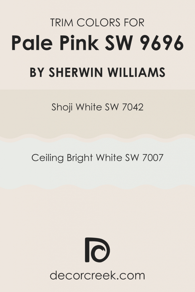 Pale Pink SW 9696 Paint Color by Sherwin Williams - DecorCreek