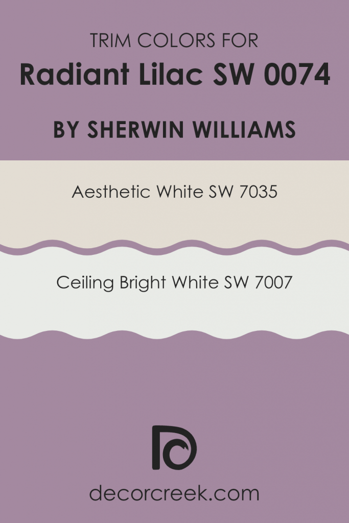 Radiant Lilac SW 0074 Paint Color by Sherwin Williams - DecorCreek