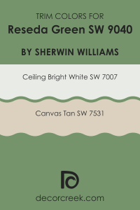 Reseda Green SW 9040 Paint Color by Sherwin Williams - DecorCreek