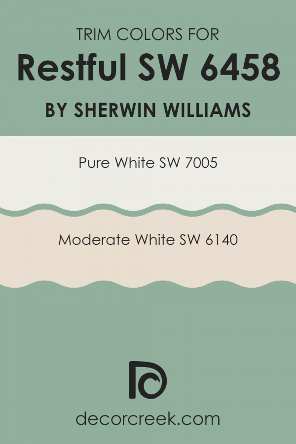 Restful SW 6458 Paint Color by Sherwin Williams - DecorCreek